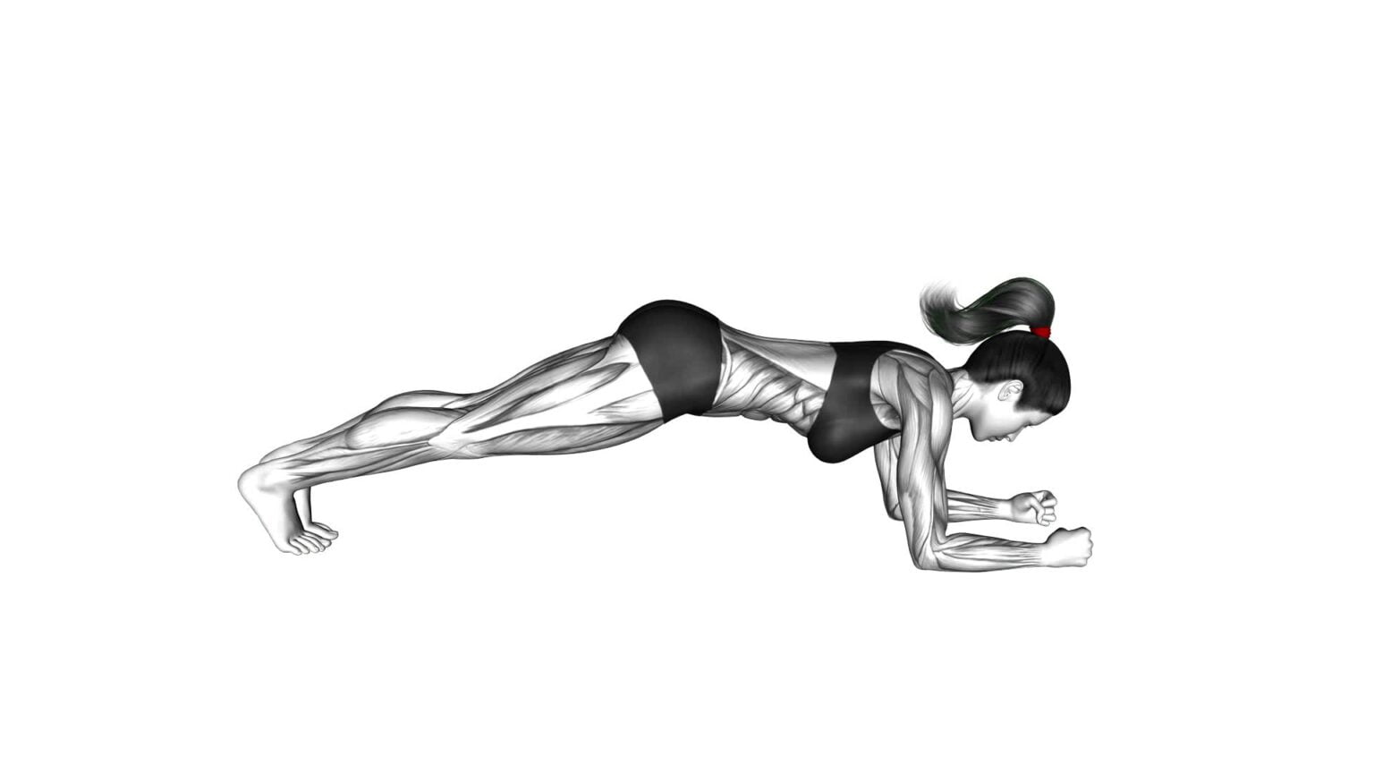Front Plank For Toned Glutes - Correct Vs Incorrect Form (Female ...