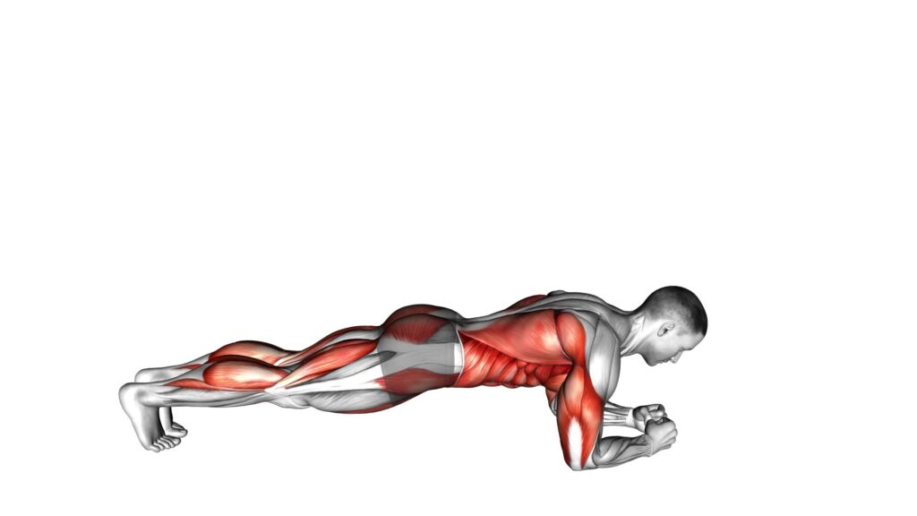 Front Plank: Arm And Leg Lift For Females - Video Guide & Tips