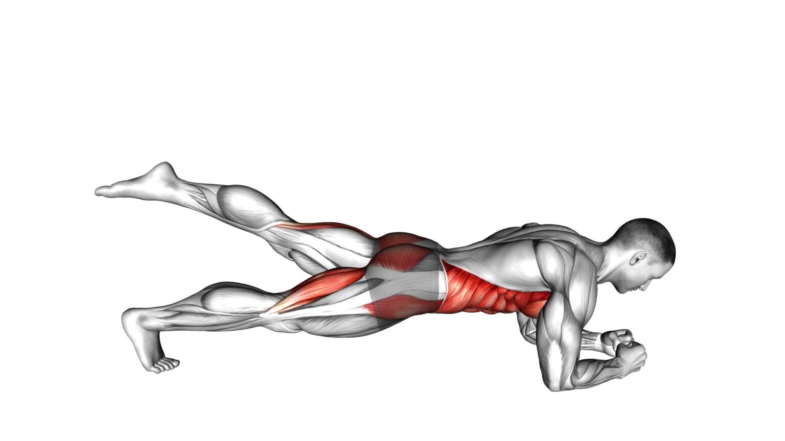 Front Plank With Leg Lift (male) - Exercise Guide & Tips