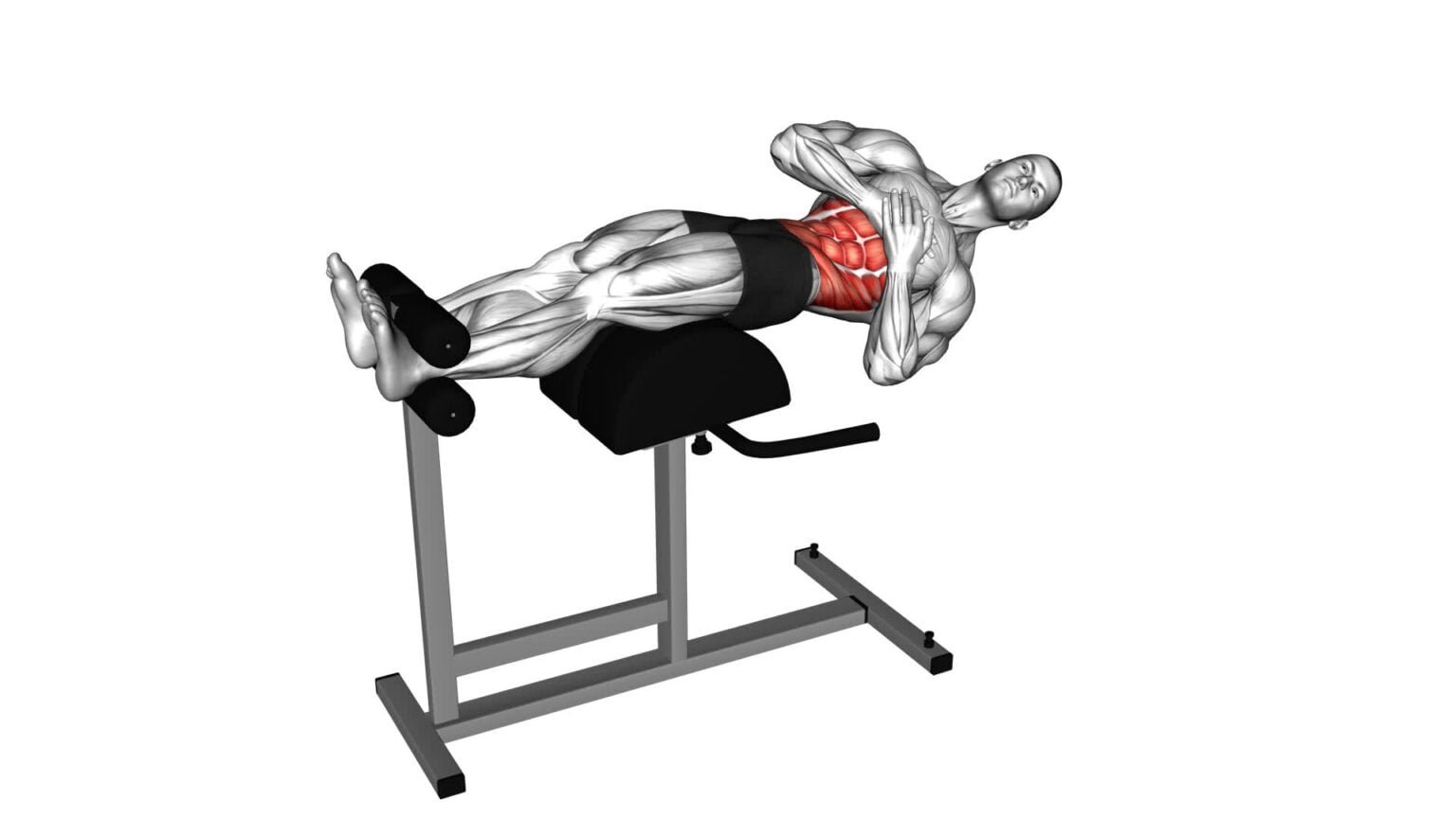 Glute Ham Twist: Ultimate Exercise Guide & Tips [Video]