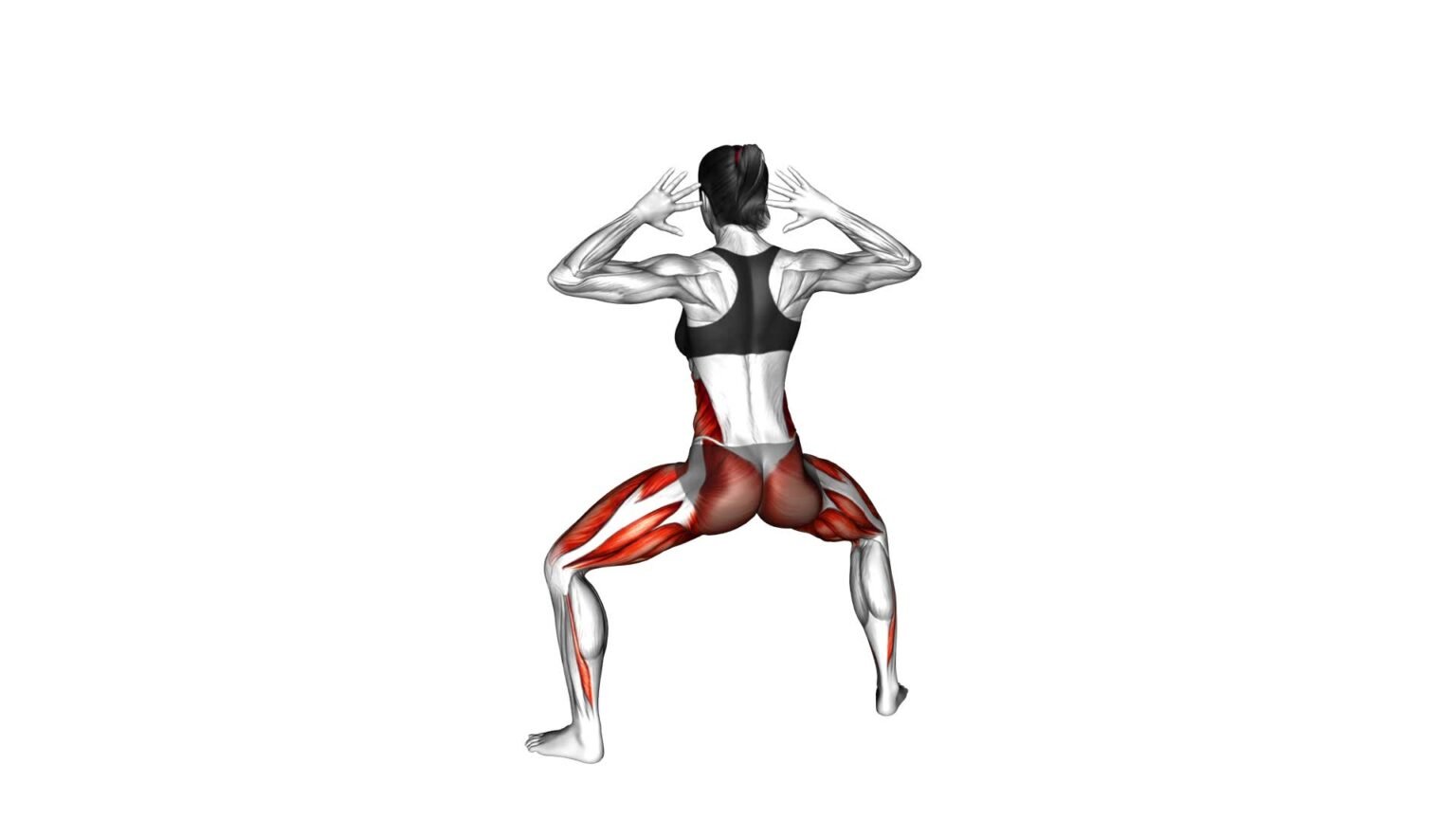 Half Plyo Squat Twist (female) - Exercise Guide & Tips