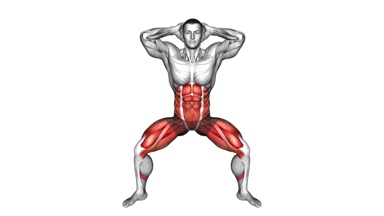 Half Squat Side Bend (male) - Video Guide & Tips For Effective Exercise