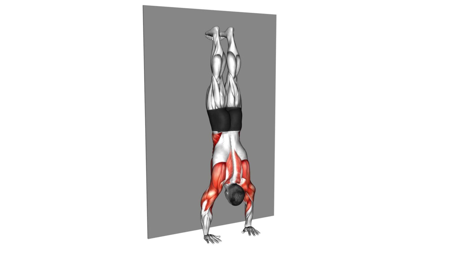 Handstand Shoulder Tap: Video Guide & Tips