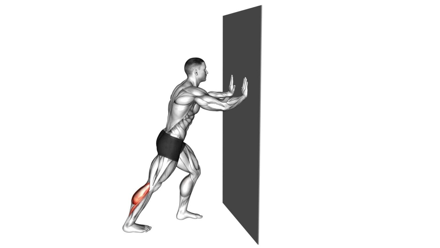 Heel Press: Ultimate Video Exercise Guide & Tips