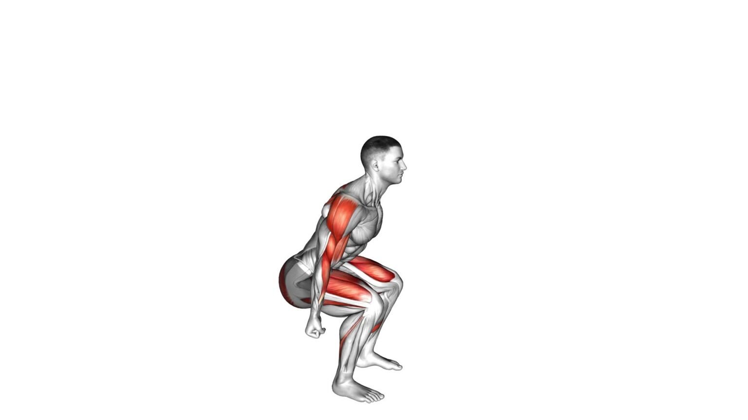 Hindu Squat: Ultimate Video Guide & Expert Tips