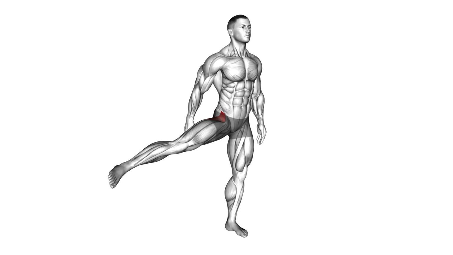 Hip Abduction: Video Guide & Tips For Effective Exercises