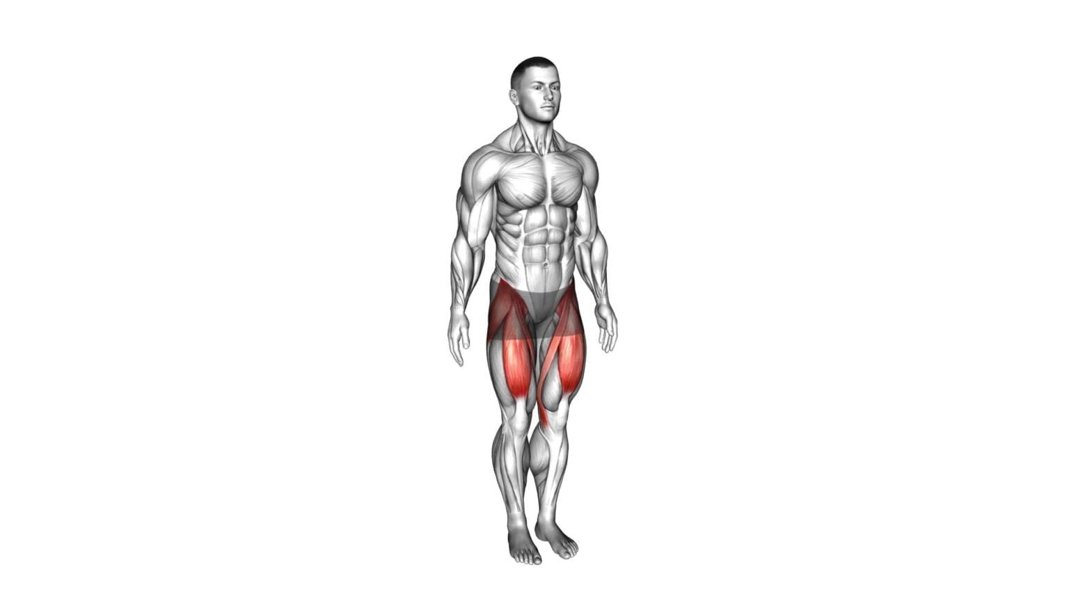 Improve Hip Flexion With Band Exercises Video Guide And Tips