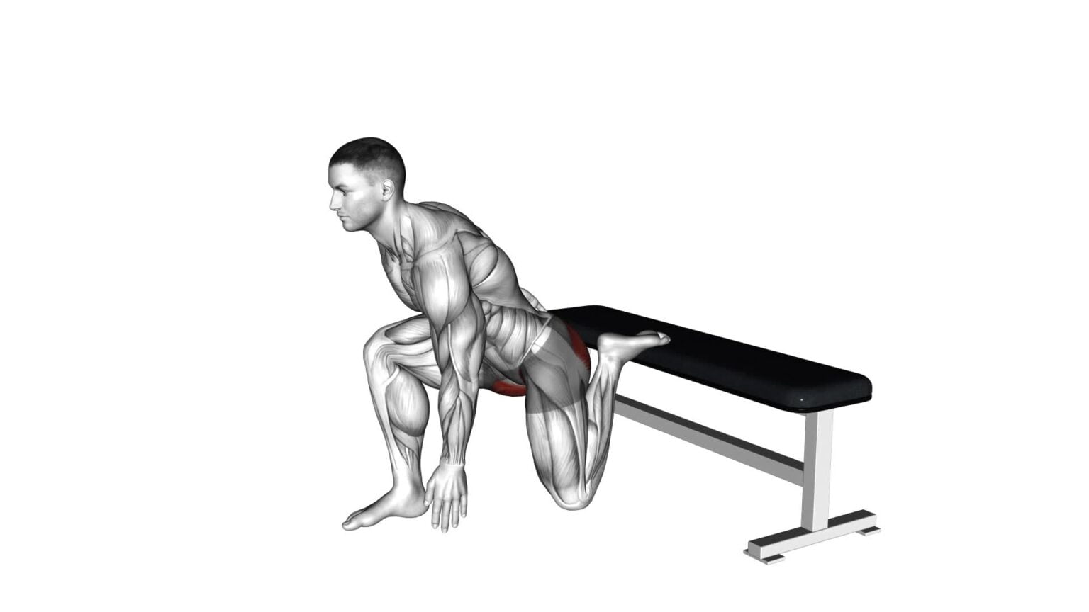 Hip Flexor Stretch: Rear Foot Elevated (Male) - Video Guide & Tips
