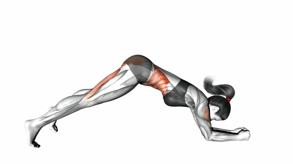 Hip Raise Bridge - Exercise Guide & Tips