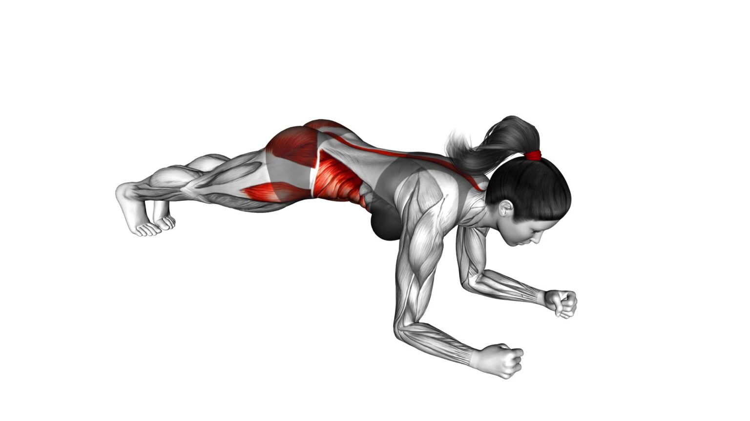 Hip Roll Plank: Ultimate Guide & Tips For Female Fitness (Video)