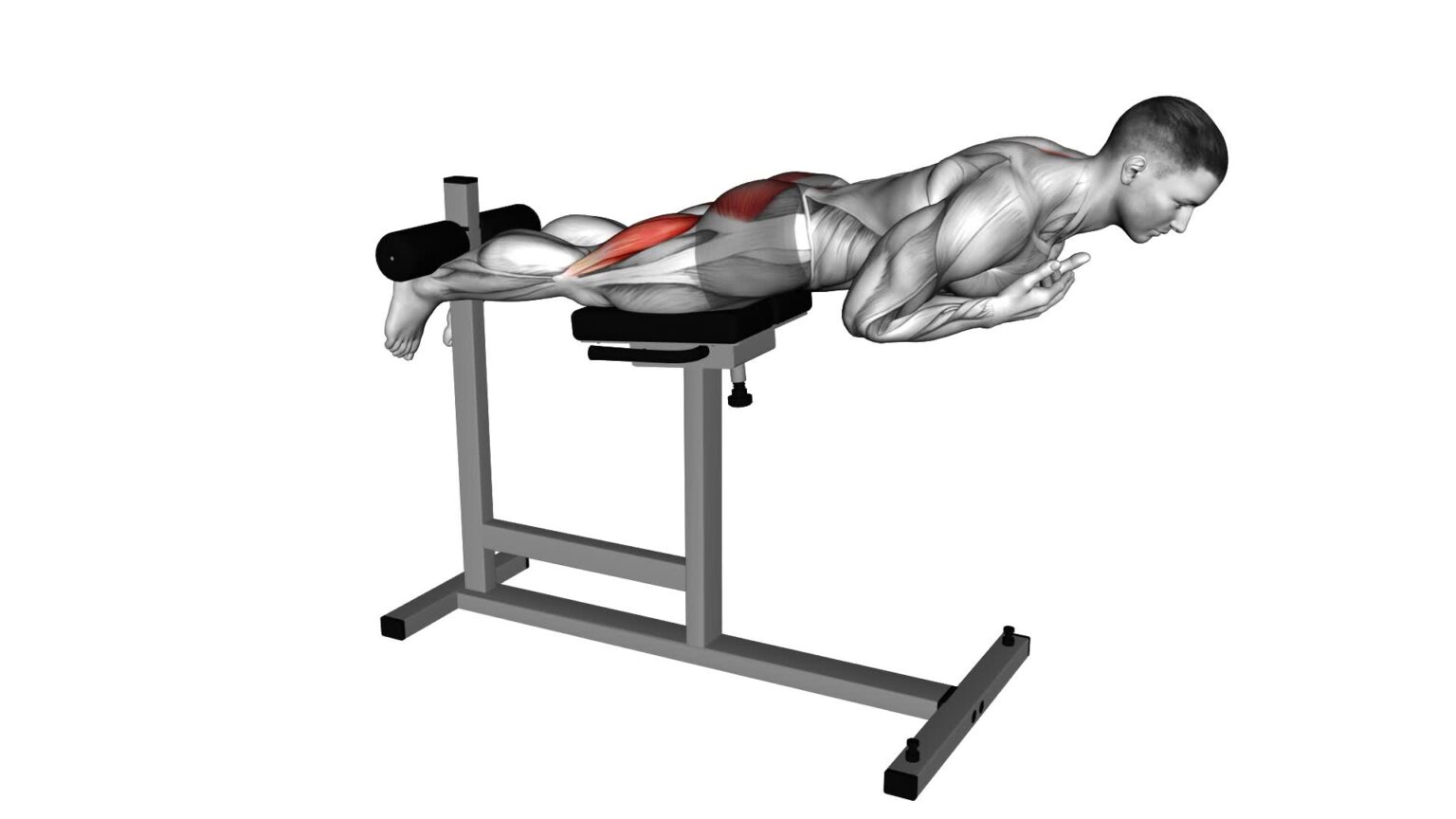 Hyperextension Exercise Guide & Tips - Boost Your Workout With Video ...