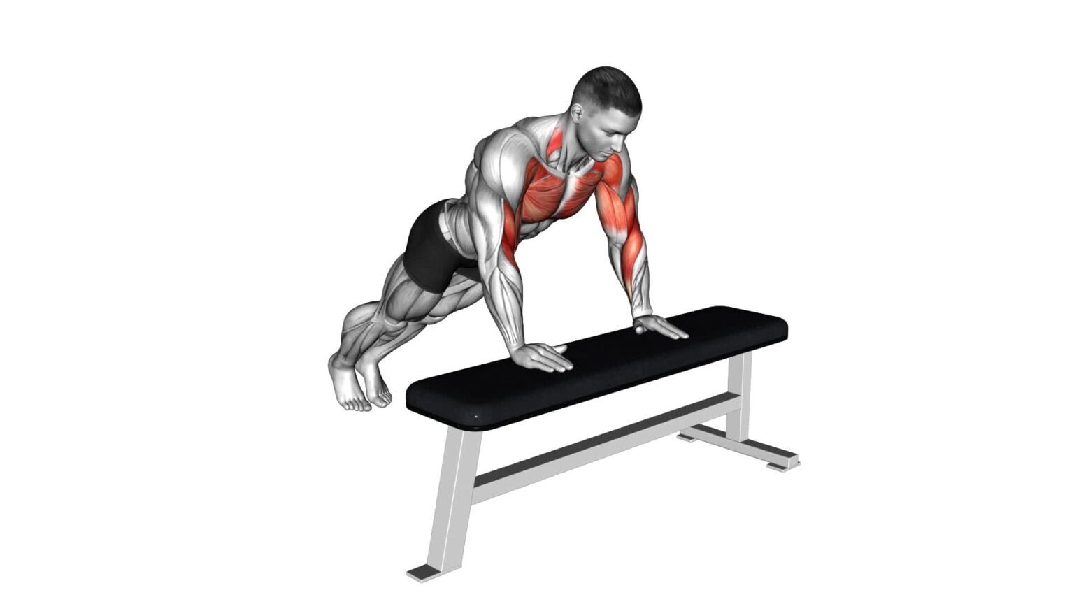 Shoulder Tap: Ultimate Video Exercise Guide & Tips