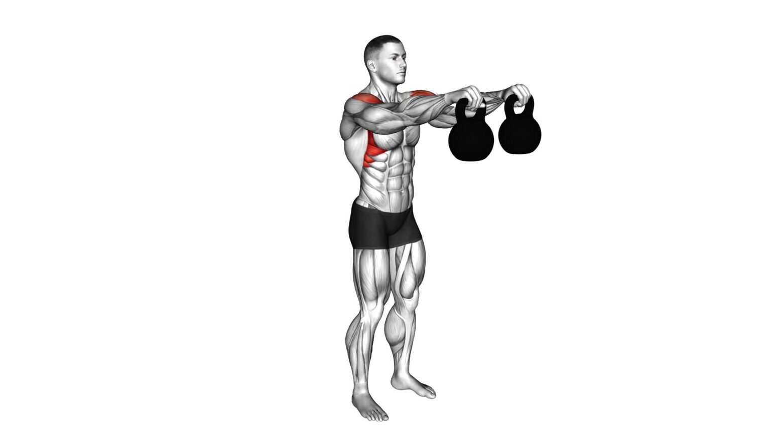 Kettlebell Front Raise: Video Guide & Tips
