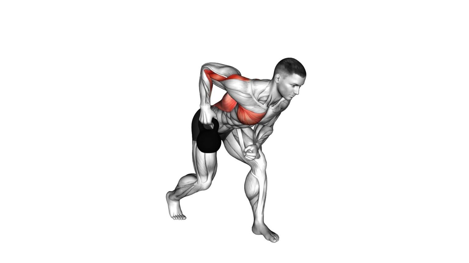 Kettlebell One Arm Row: Video Guide & Tips