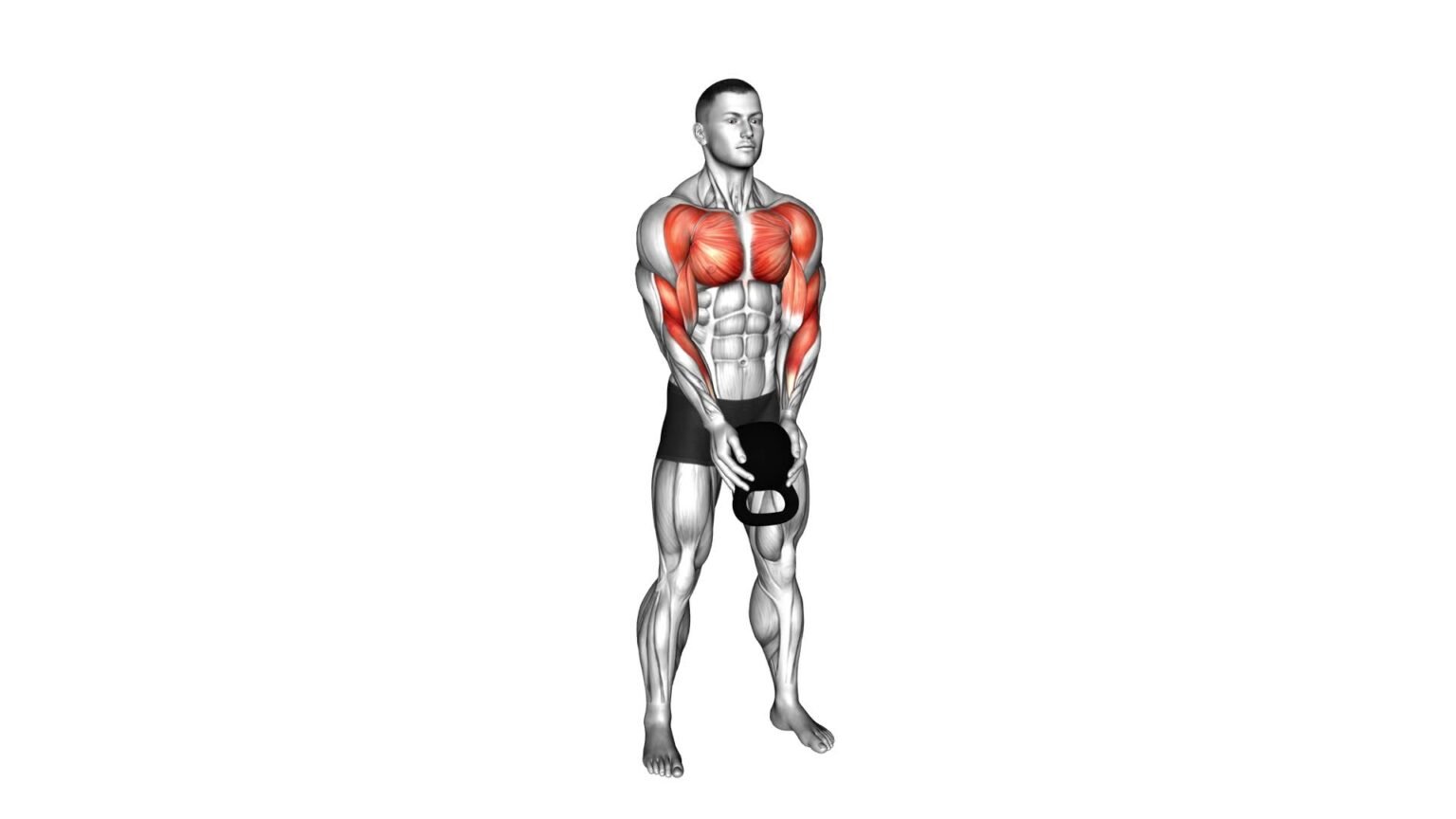 Kettlebell Standing Crush Curl (Male) - Exercise Guide & Tips