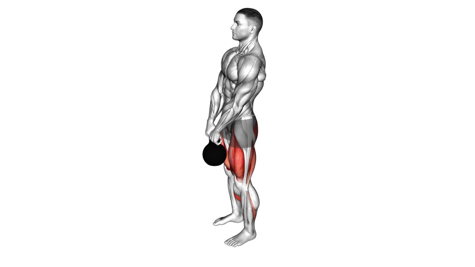 Kettlebell Straight Leg Deadlift: Video Guide & Tips