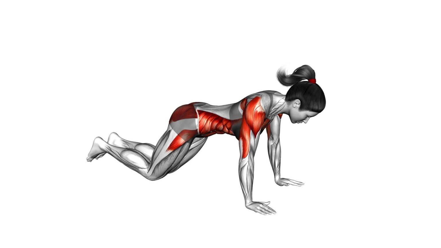 Kneeling Plank Female Ultimate Video Guide And Tips