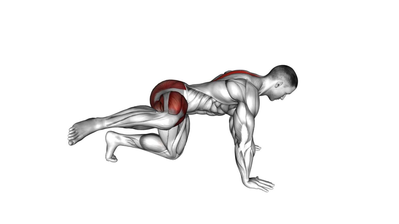 Hip Circles Stretch For Men - Video Guide & Tips