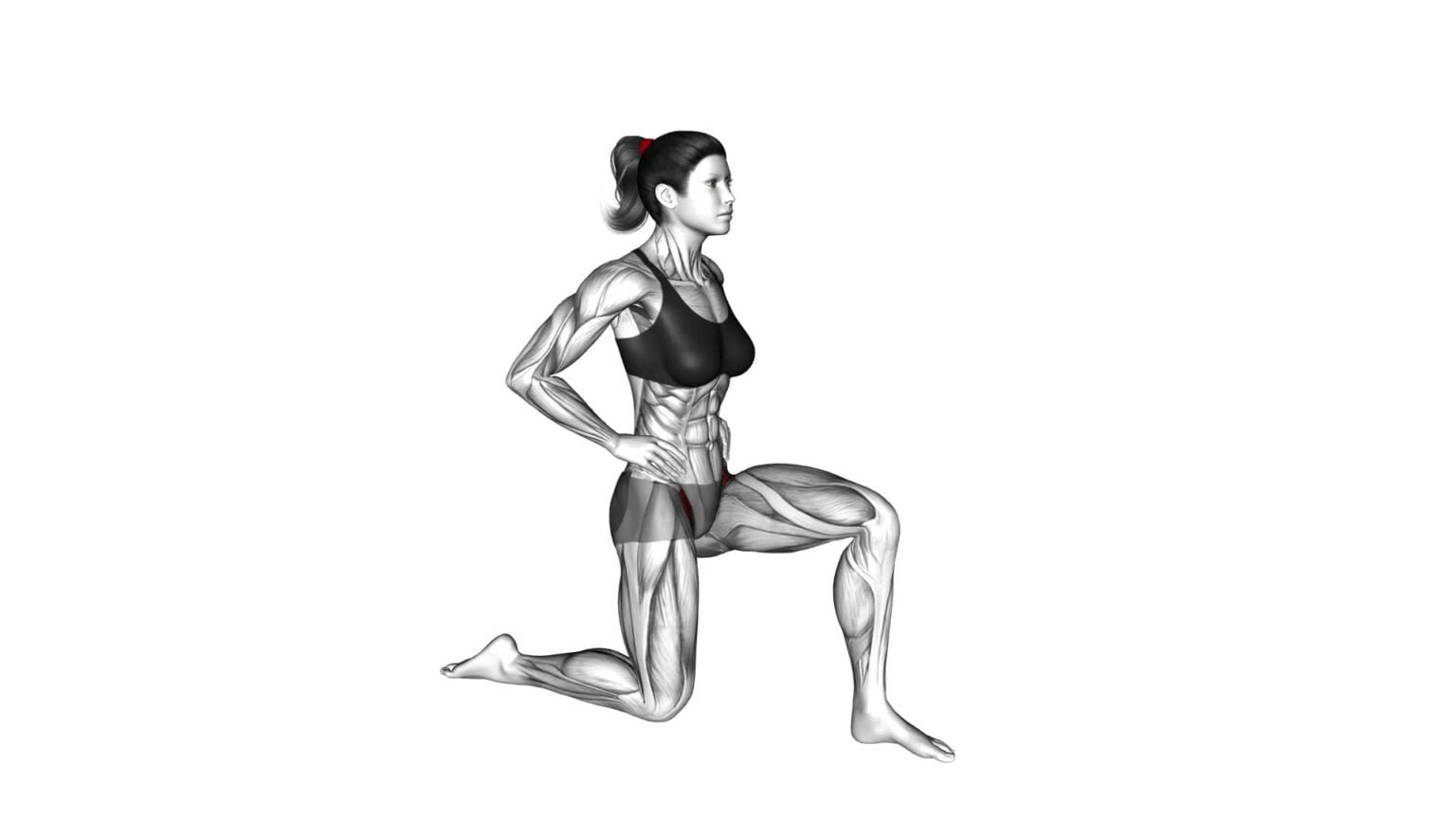 Kneeling Iliopsoas Stretch (Female): Video Guide & Tips