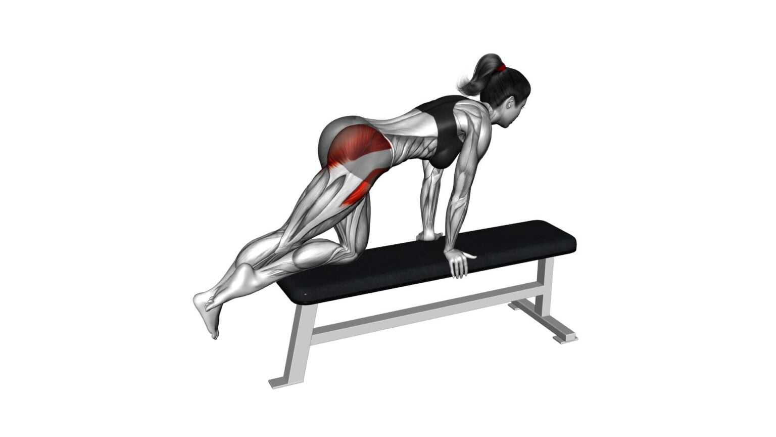 Resistance Band Kneeling Leg Half Circle: Video Guide & Tips