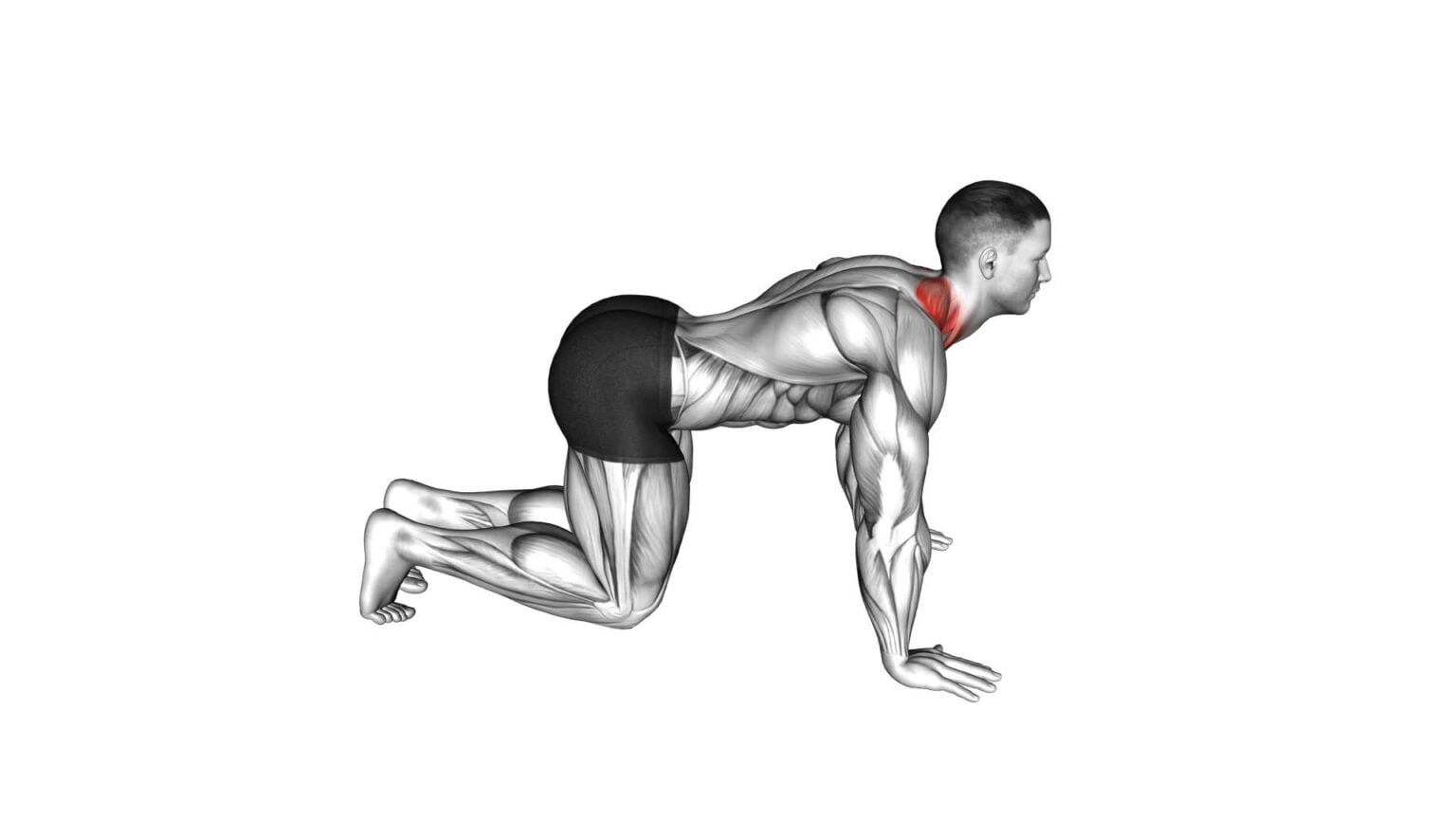 Kneeling Neck Stretch: Video Guide & Tips