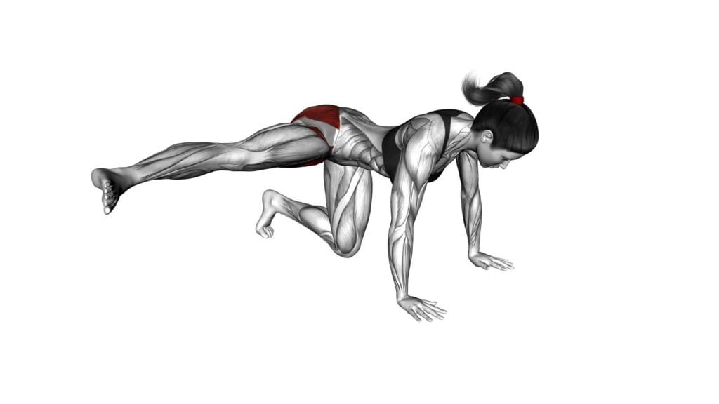 Kneeling Side Leg Circle Female Exercise Guide And Tips