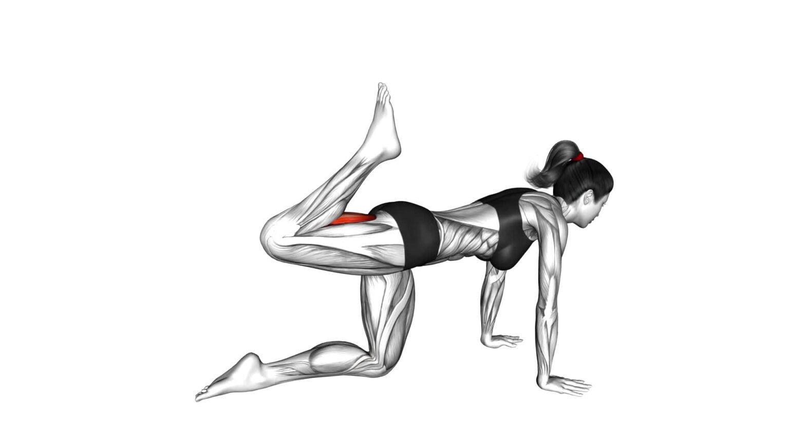 Dumbbell Lying Hamstring Curl Female Exercise Guide And Tips