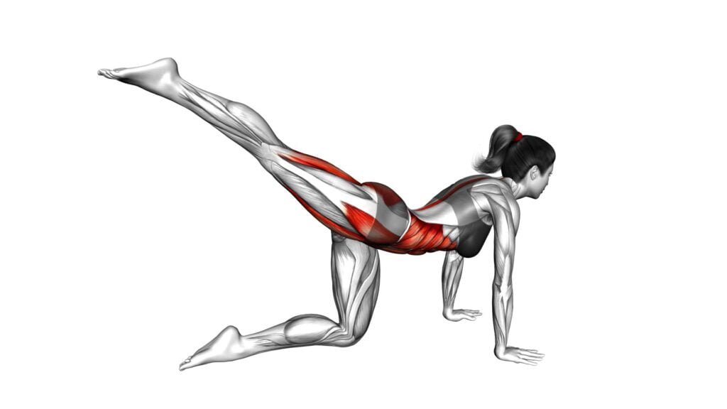 Kneeling Single Kickback (Female): Video Guide & Tips For Effective ...