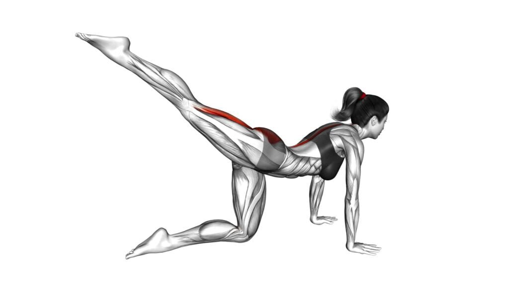 Straight Leg Kickback Exercise Guide & Tips - Male Kneeling Video