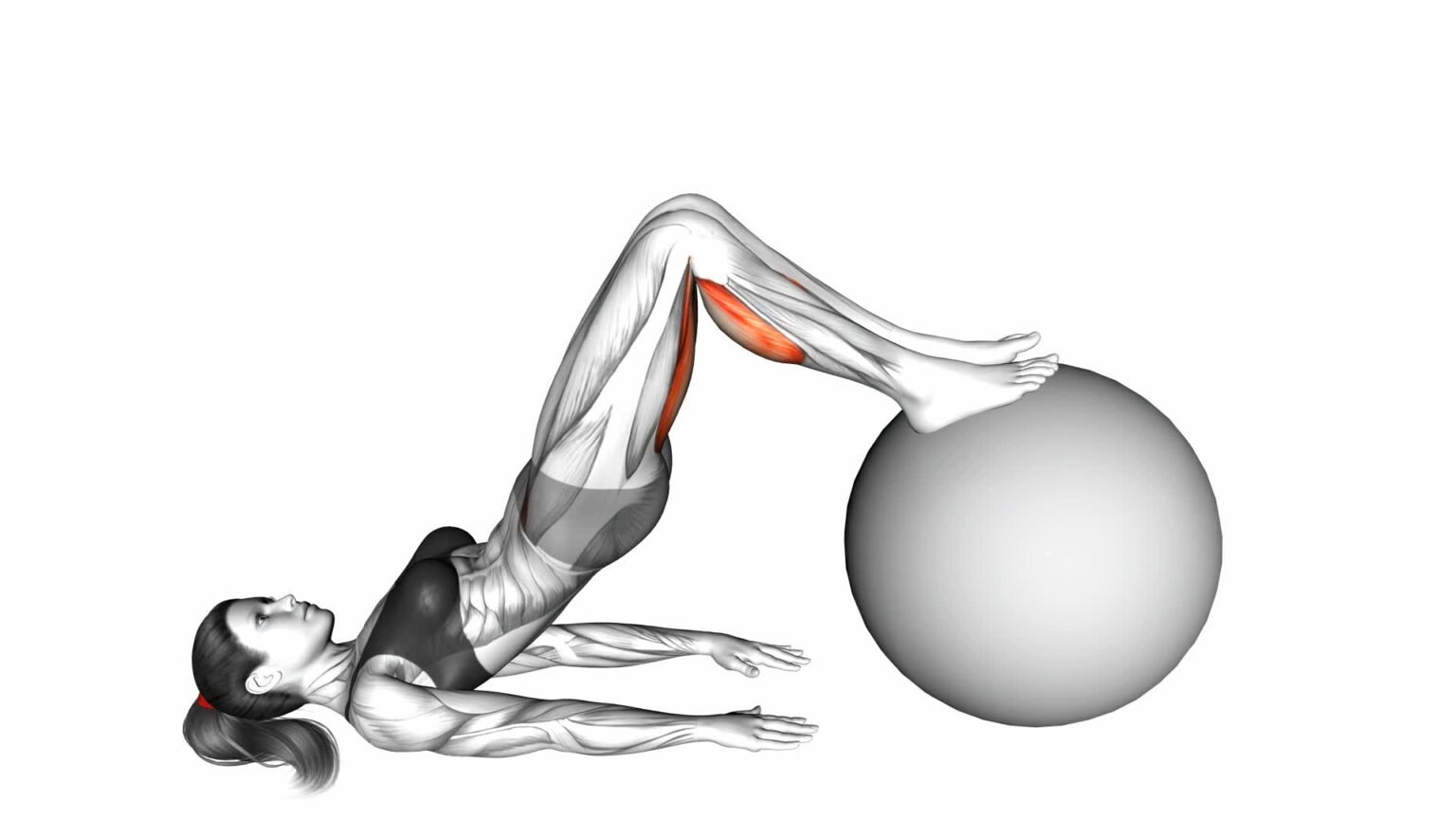 Leg Curl On Stability Ball - Exercise Guide & Tips