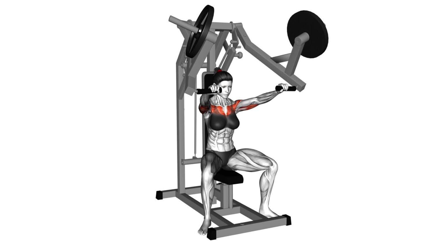Female Lever Chest Press: Video Guide & Tips For Effective Plate Loaded ...