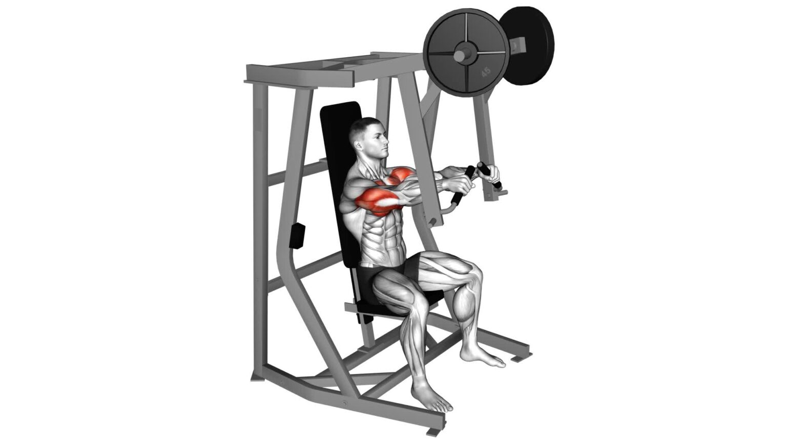 Female Lever Chest Press: Video Guide & Tips For Effective Plate Loaded ...