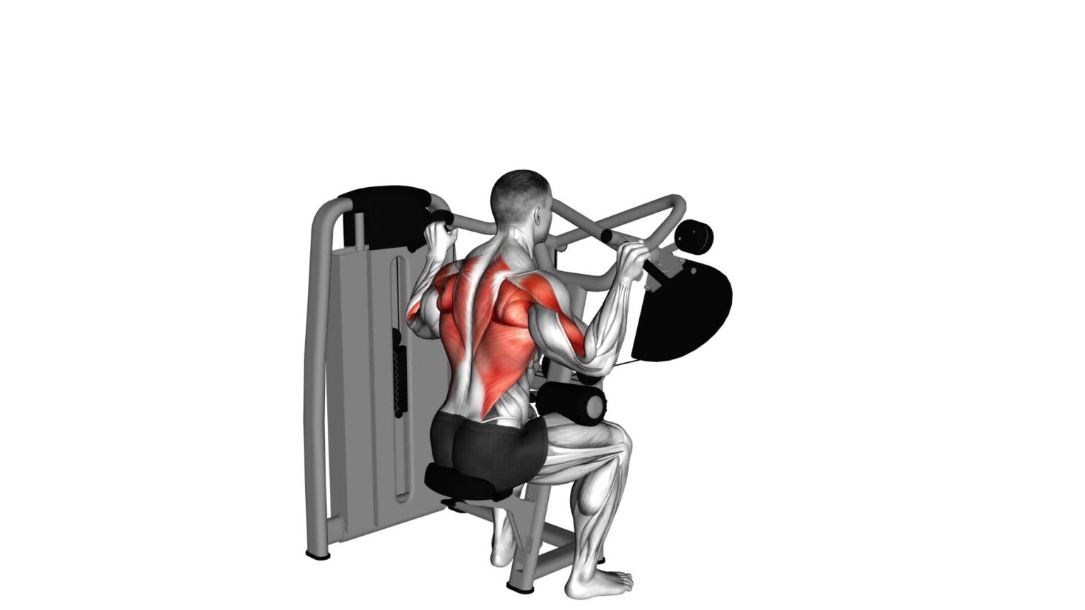 Lever Cross Lat Pulldown (VERSION 2) - Video Guide & Tips