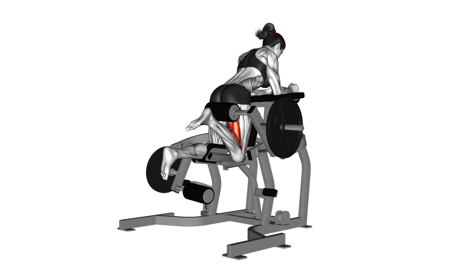 Plate Loaded Lever Kneeling Leg Curl: Female Video Guide & Tips