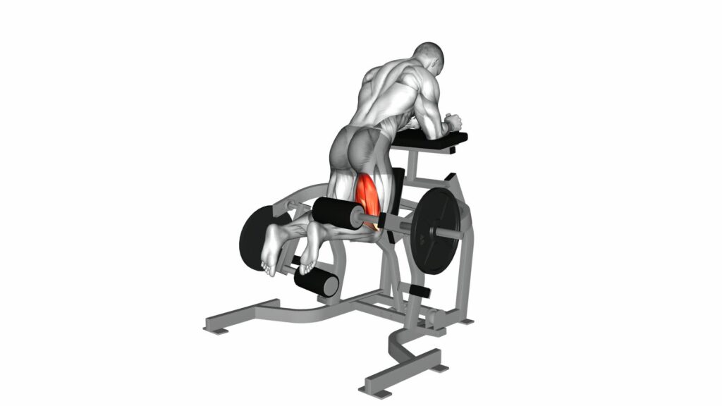 Female Band Biceps Curl: Video Guide & Tips For Stronger Arms