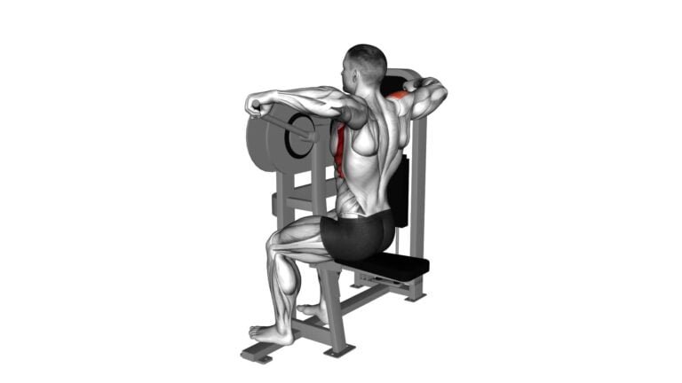 Lever Lateral Raise: Video Guide & Tips