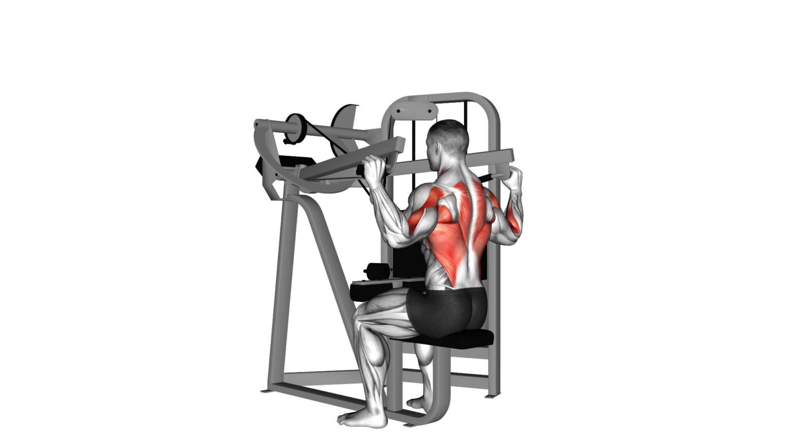 One Arm Lateral Wide Pulldown: Plate Loaded Exercise Guide & Tips