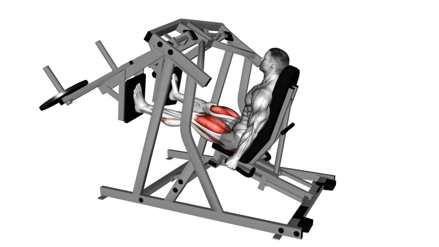 Ultimate Leg Press Guide: Boost Your Workout With Plate Loaded Lever ...