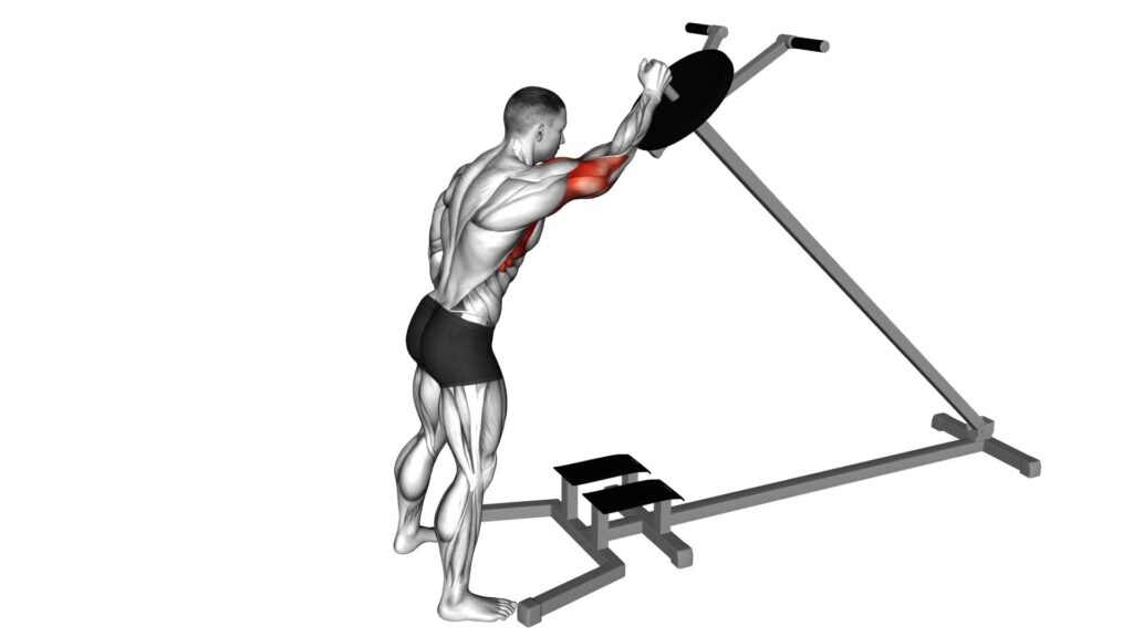 One Arm Shoulder Press: Plate Loaded - Video Guide & Tips