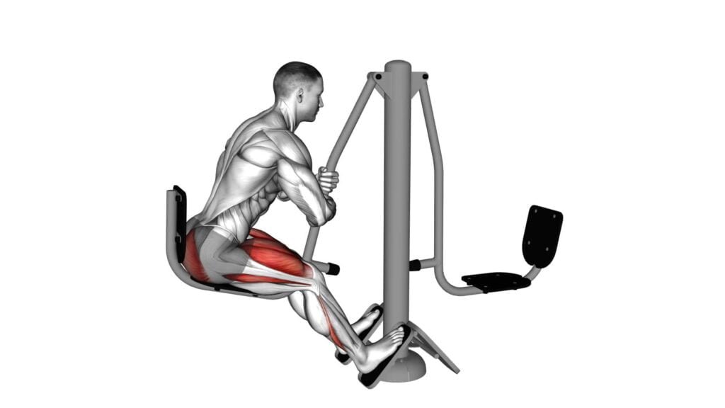 Lever Seated Single Leg Press (V2) - Exercise Guide & Tips