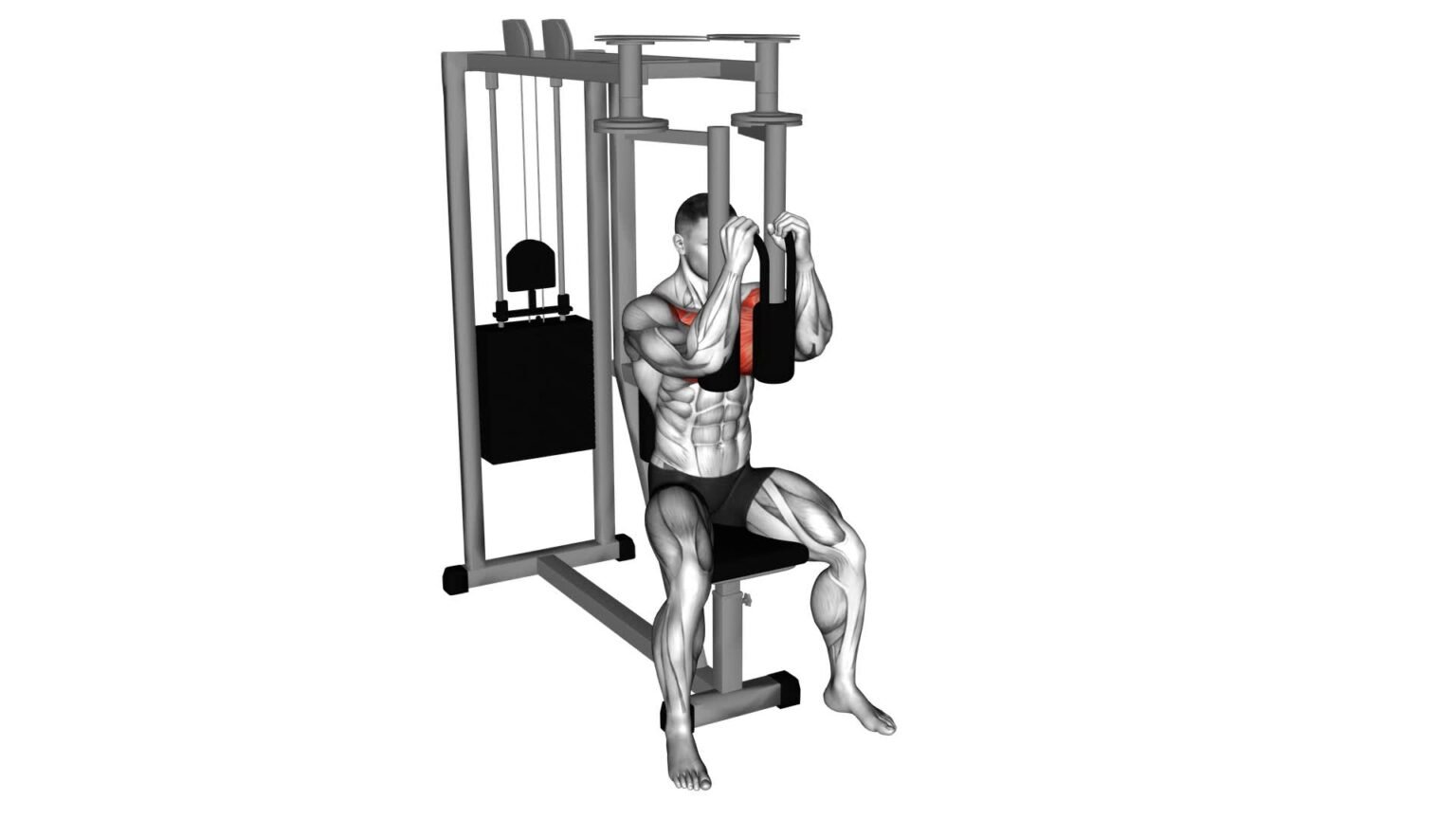Back Pec Stretch: Video Guide & Tips For Effective Exercise