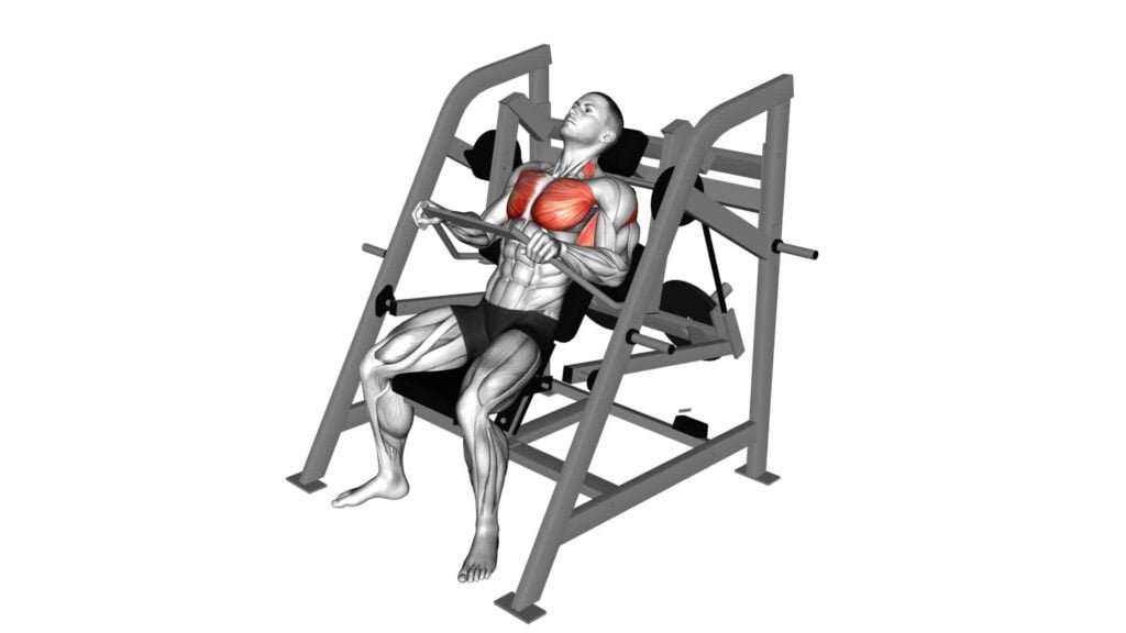 Lever Pullover (plate Loaded) - Exercise Guide & Tips