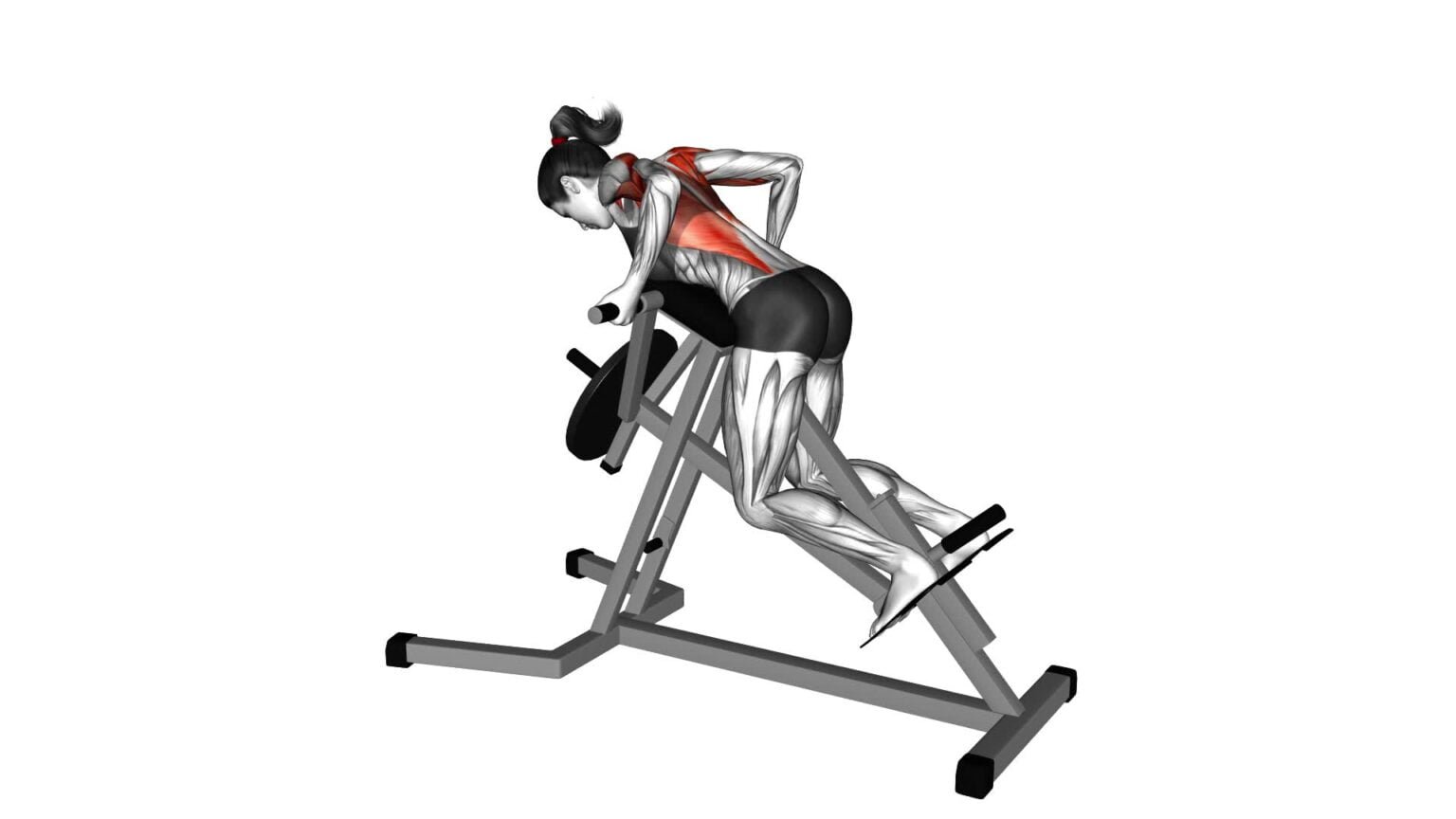 Ultimate Guide: Female Lever Reverse T-bar Row - Video & Tips