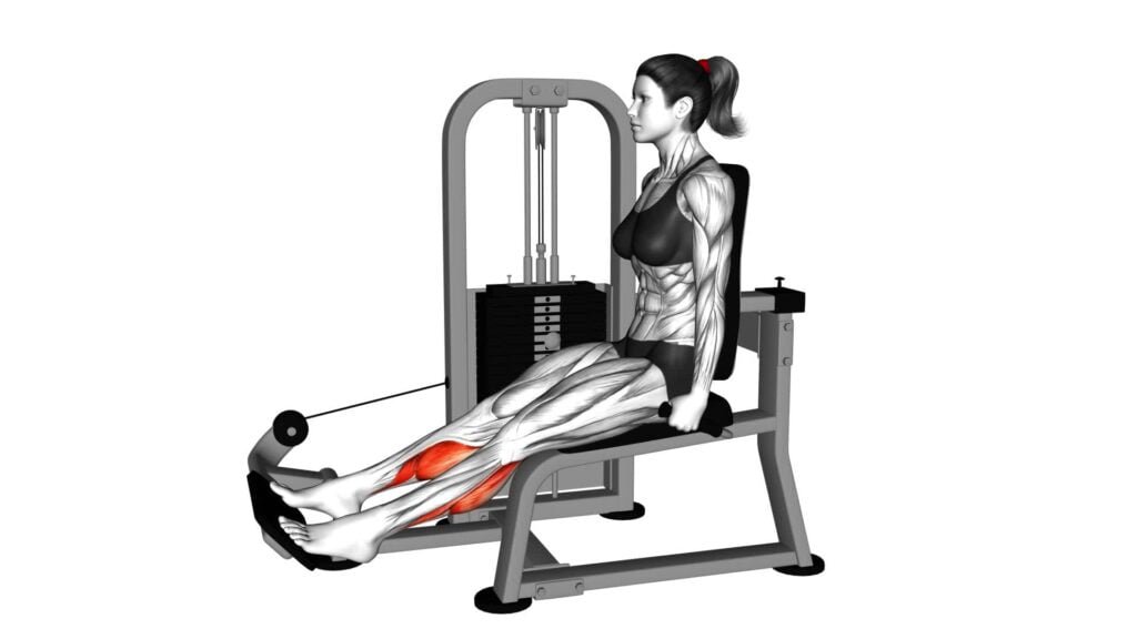 Effective Lever Rotary Calf Exercise For Women - Video Guide & Tips