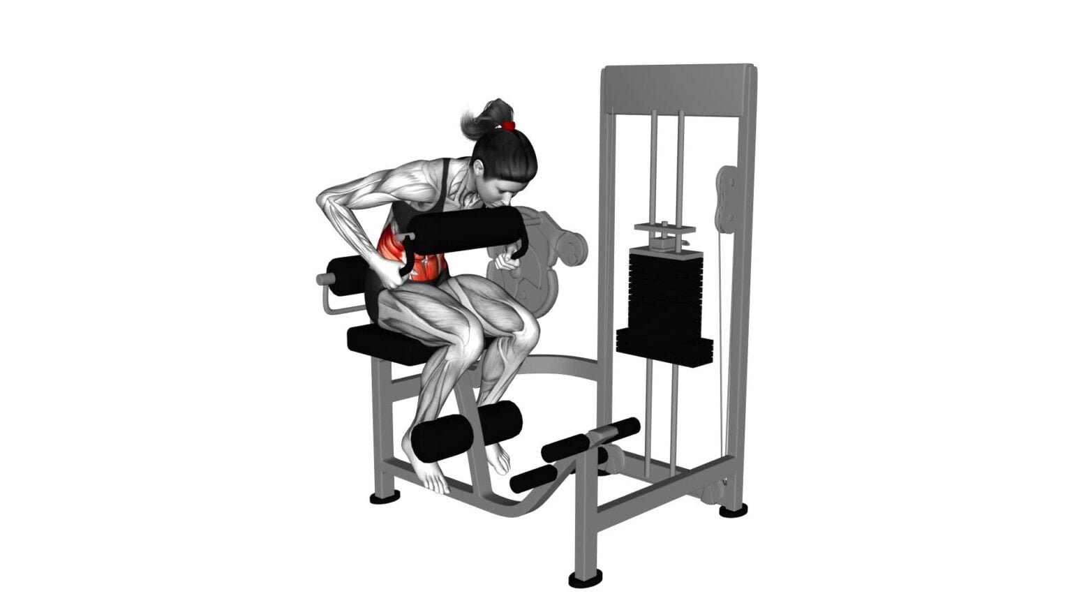 Ultimate Ab Coaster Crunch Guide For Women - Video Tips & Exercises
