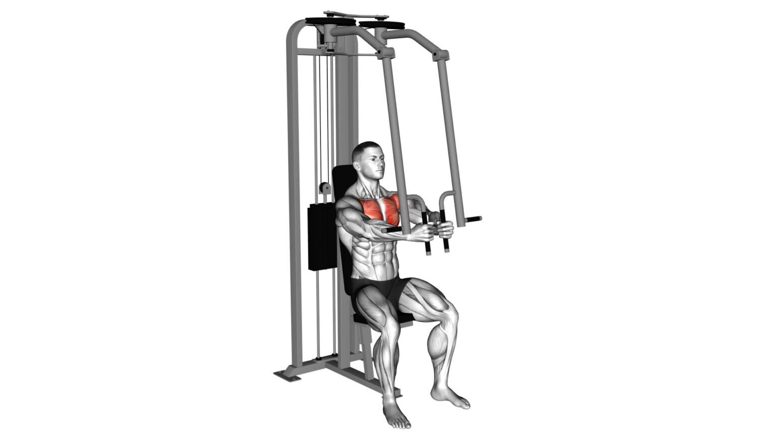 Lever Seated Fly (female) - Exercise Guide & Tips