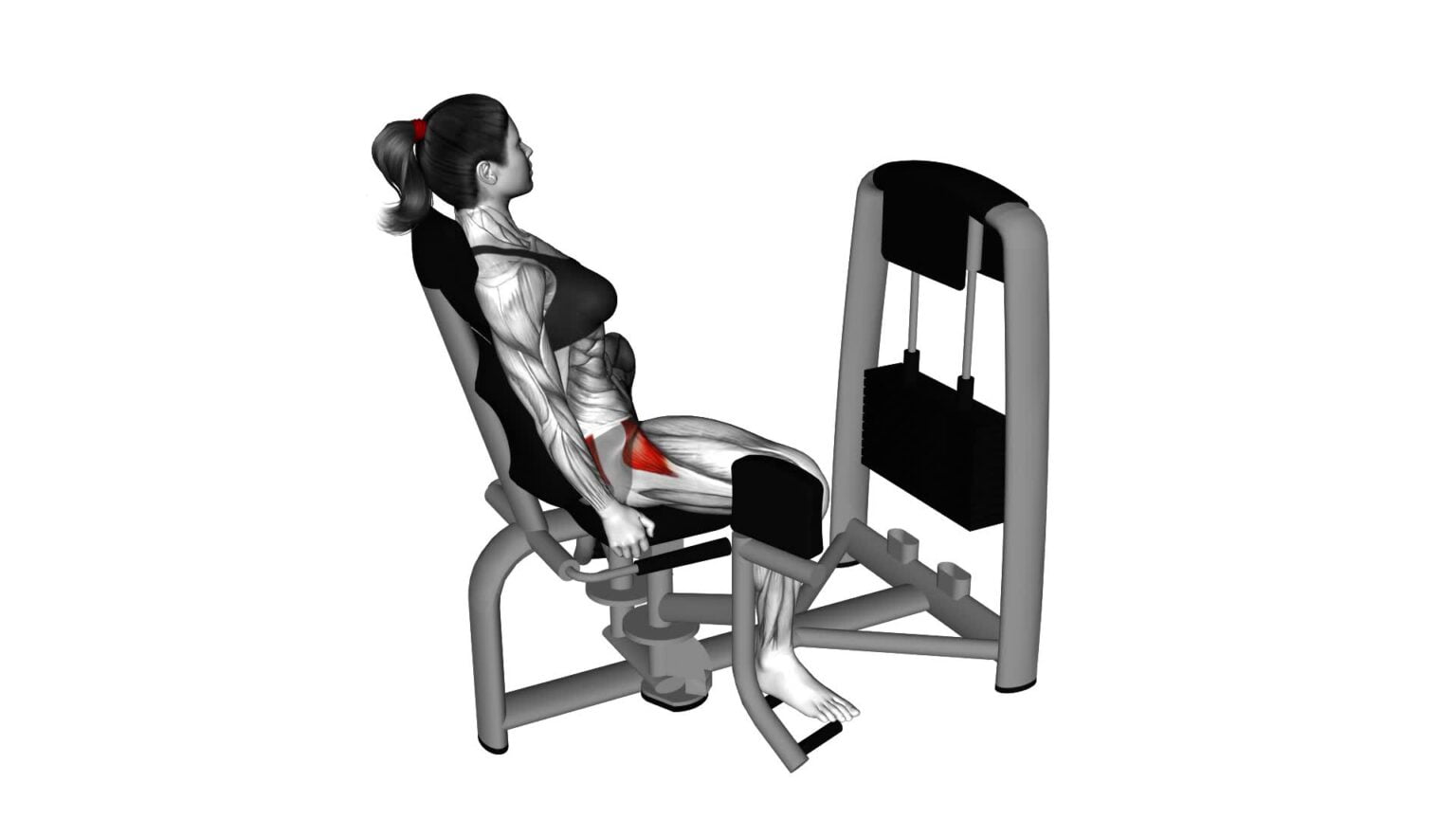 Lever Seated Hip Abduction (female) - Exercise Guide & Tips