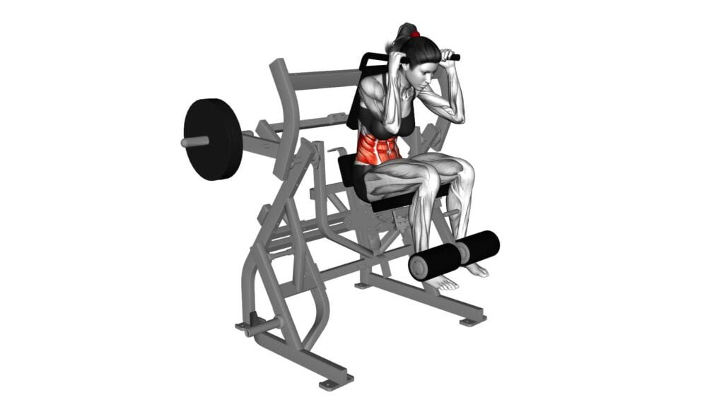 Plate Loaded Lever Seated Leg Raise Crunch: Female Video Guide & Tips