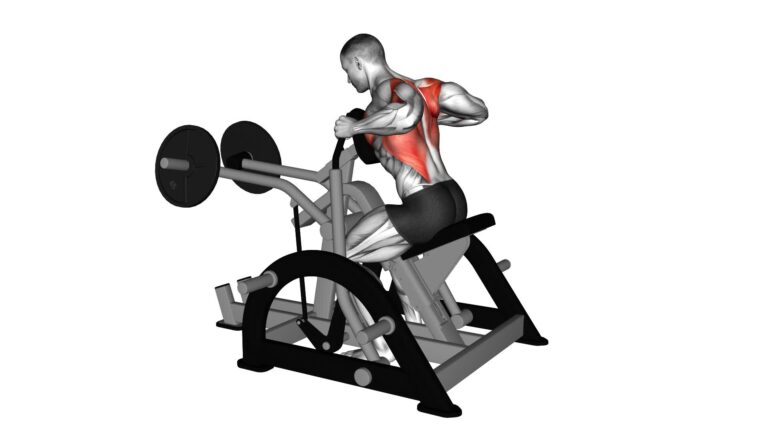 Lever Seated Row: Video Guide & Tips