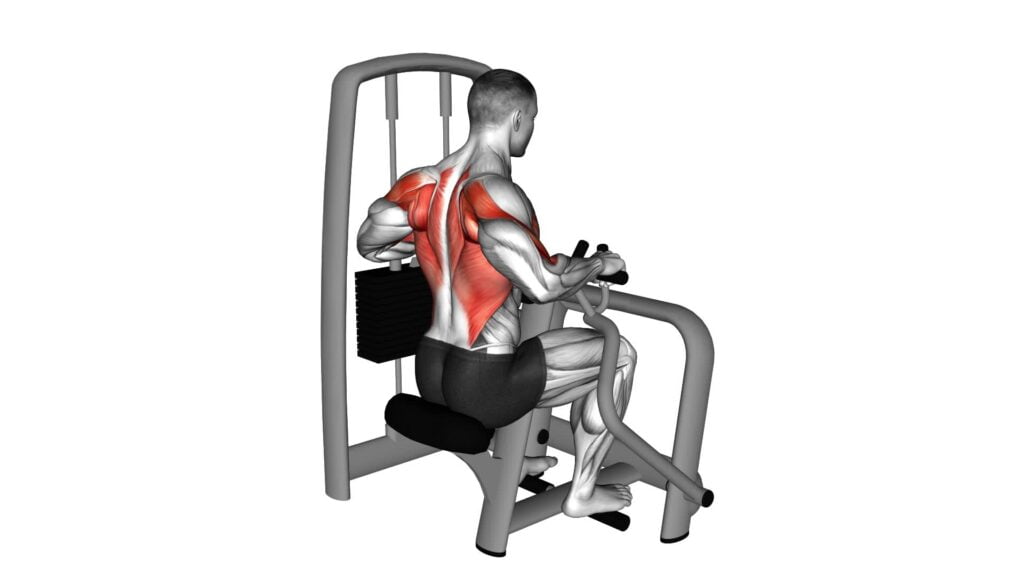 Lever Seated Row: Ultimate Guide & Tips